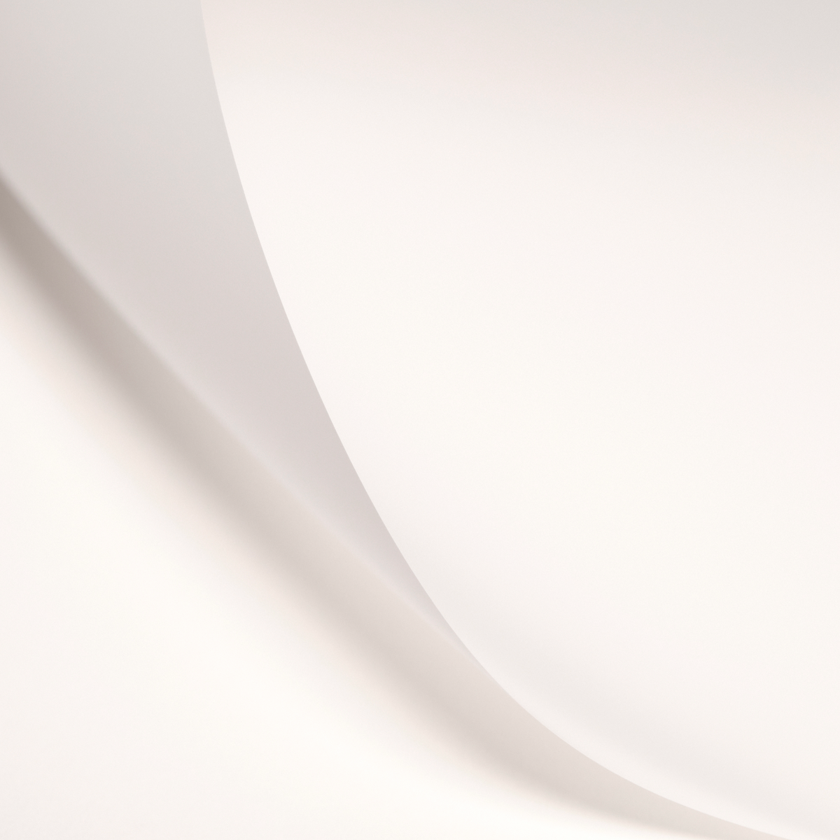 LEE Filters 216 White Diffusion Lighting Gel Filter Roll, 48" x 25 ...