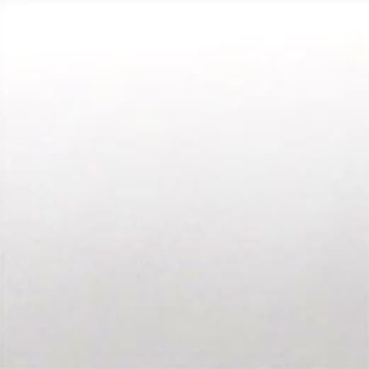 LEE Filters #251 1/4 White Diffusion Gel Filter Roll (48" x 25 ...
